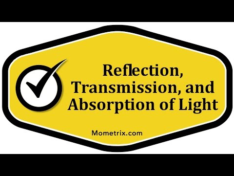 Light Absorption, Reflection, and Transmission [Video]