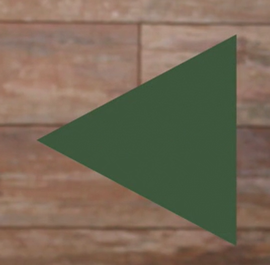 What is a Congruent Shape? [Video]