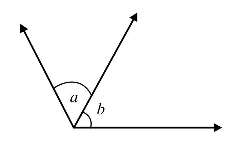What are Adjacent Angles? [Video & Practice Questions]