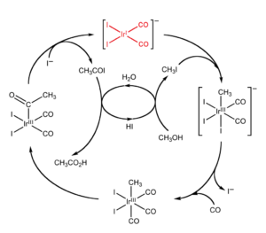 What is a Catalyst? - Chemistry Review (Video)