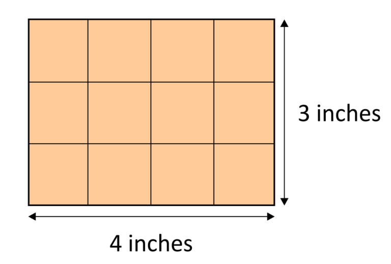 Area of a Rectangle (Sample Questions)