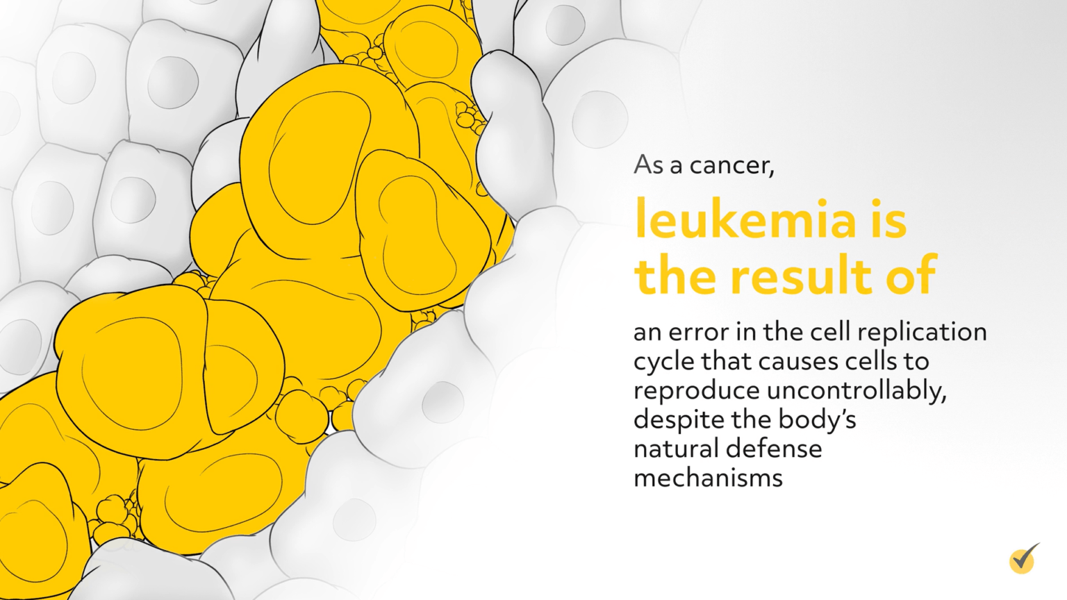Leukemia Types, Symptoms, and Treatment Options (Video)