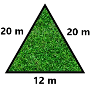 How to find the Area and Perimeter of a Triangle (Video)