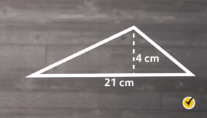 What is the Area of Any Triangle (Video)