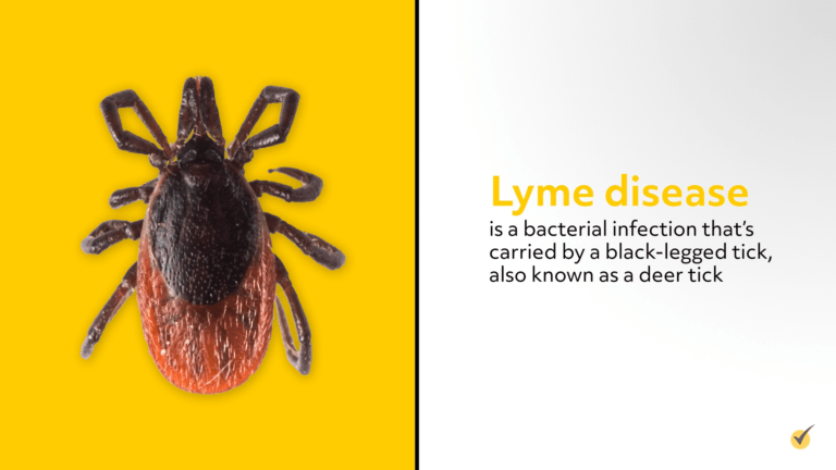 What is Lyme Disease? - Patient Care Review (Video)