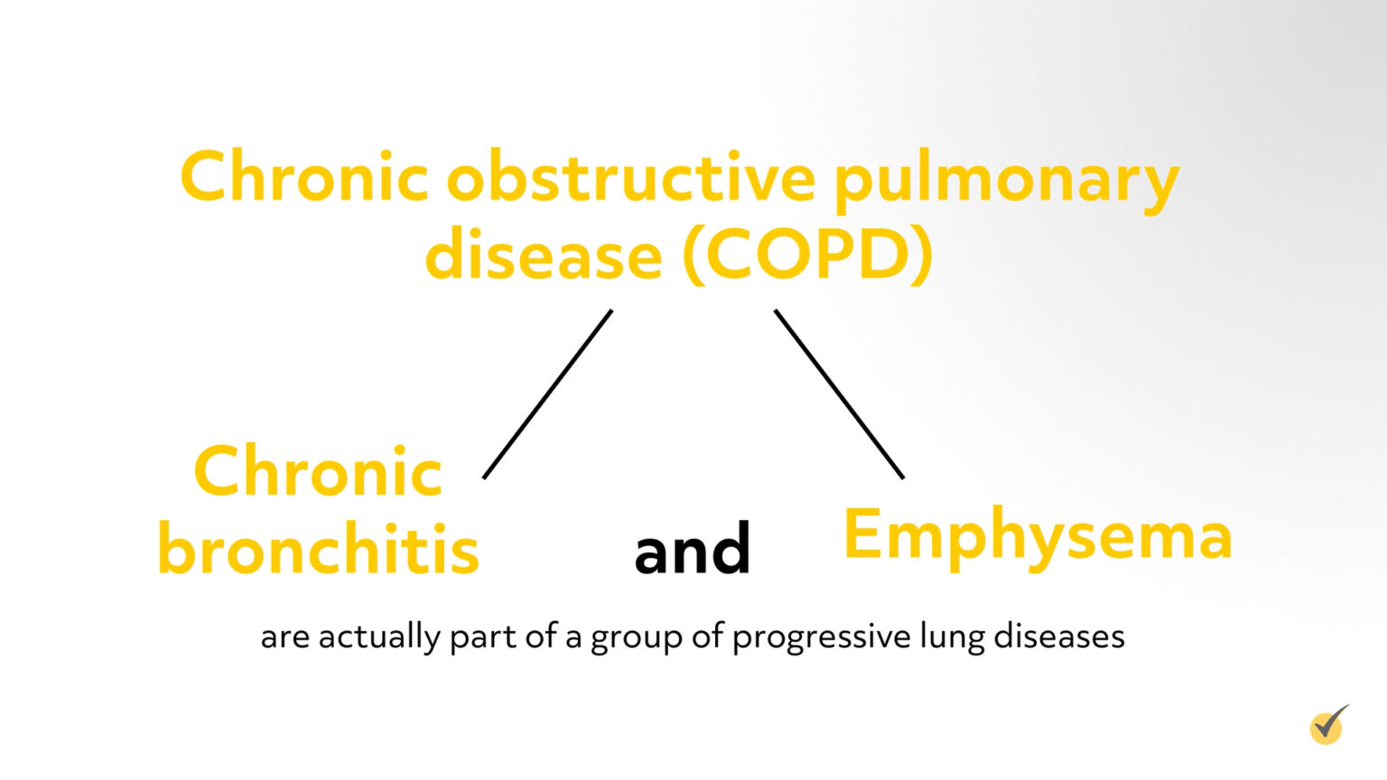 Exploring Respiratory Diseases: Causes and Treatments (Video)