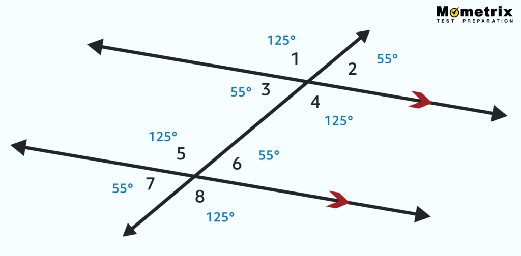 Angles - Geometry Review (Video)