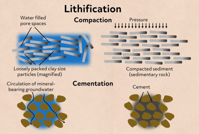Igneous, Sedimentary, and Metamorphic Rocks (Video)