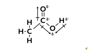 What is a Nonpolar Covalent Bond? (Review Video)