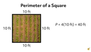 Area and Perimeter of Rectangles and Squares (Video)