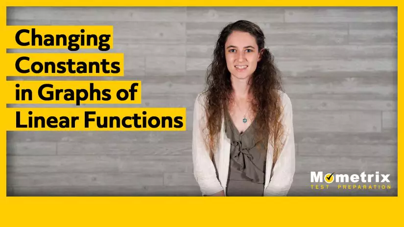 What is a Linear Function? (Video)