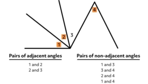 What are Adjacent Angles? [Video & Practice Questions]