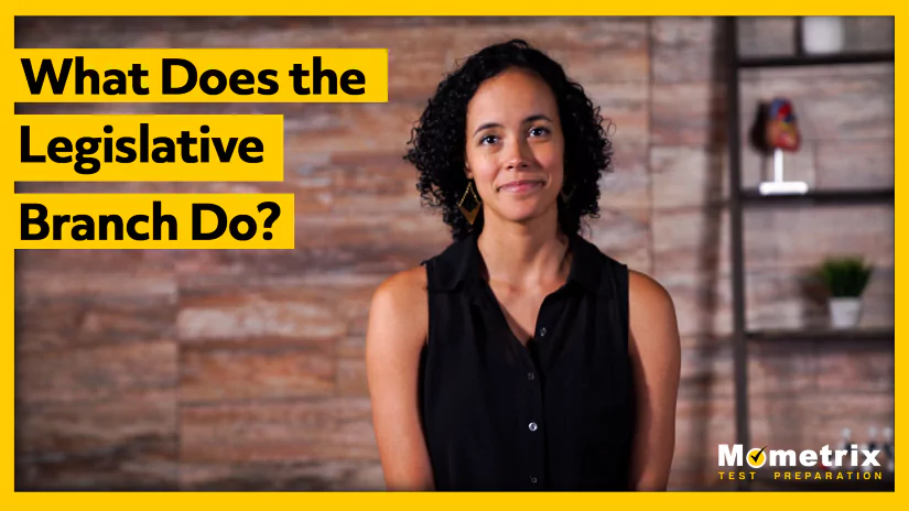 What Does the Legislative Branch Do? (Video)