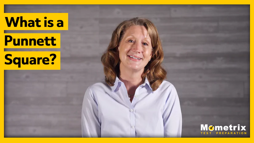 What is a Punnett Square? (Video)